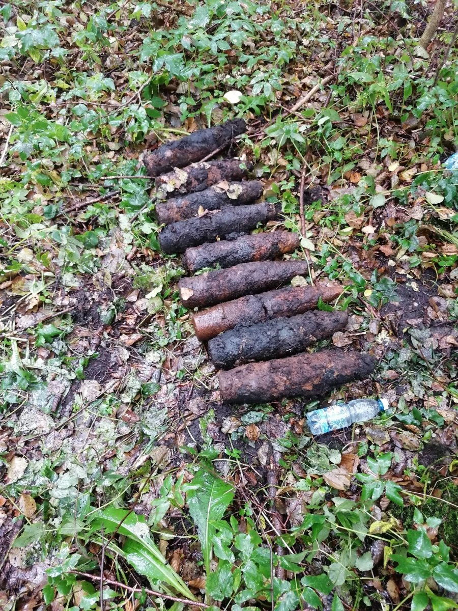 Podczas spaceru po lesie znalazł pocisk altyleryjski. O znalezisku ...